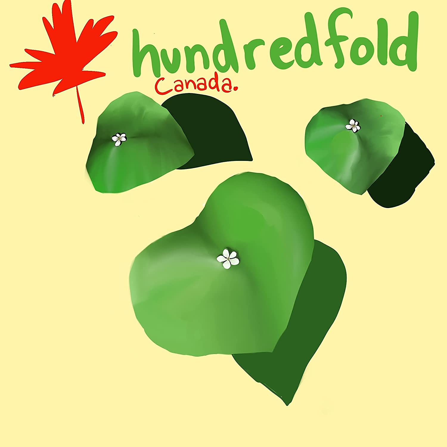 Vegetable and Herb Seeds by Hundredfold – Hundredfold Canada