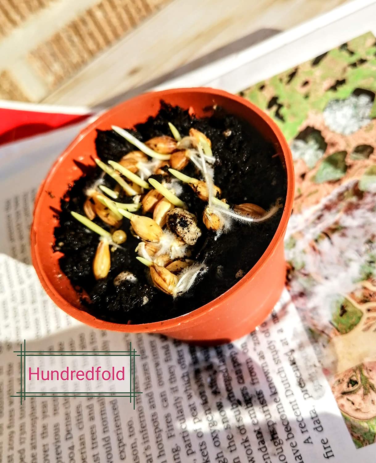 Pet Supplies – Hundredfold Canada